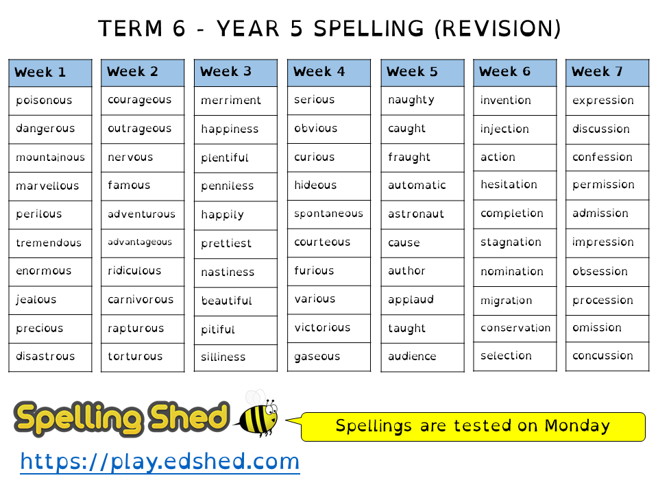 Year 5 | Thames View Primary School